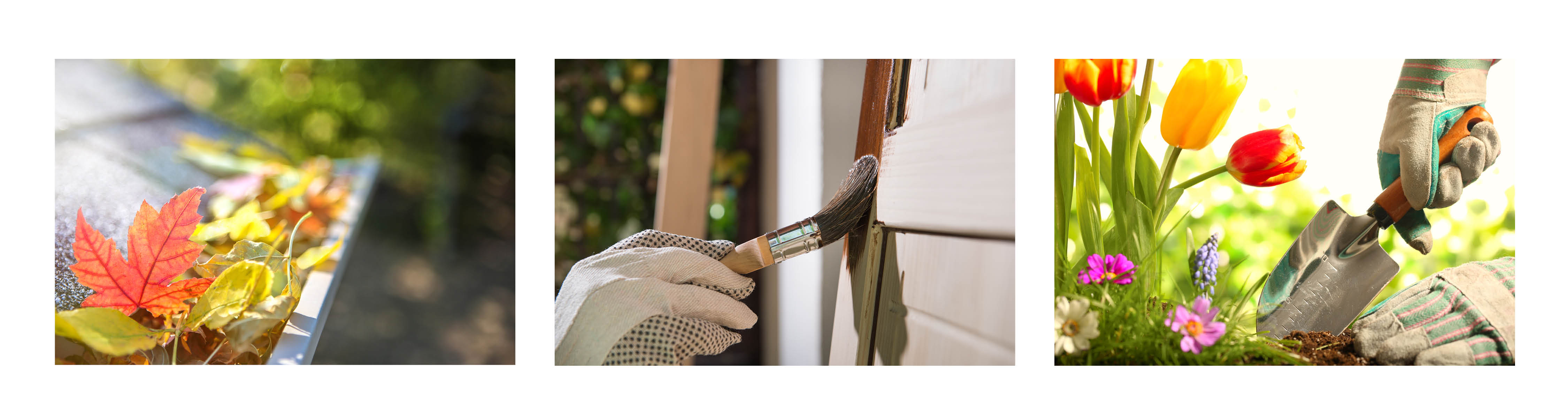 Must-Do Outdoor Home Maintenance Tasks for Spring