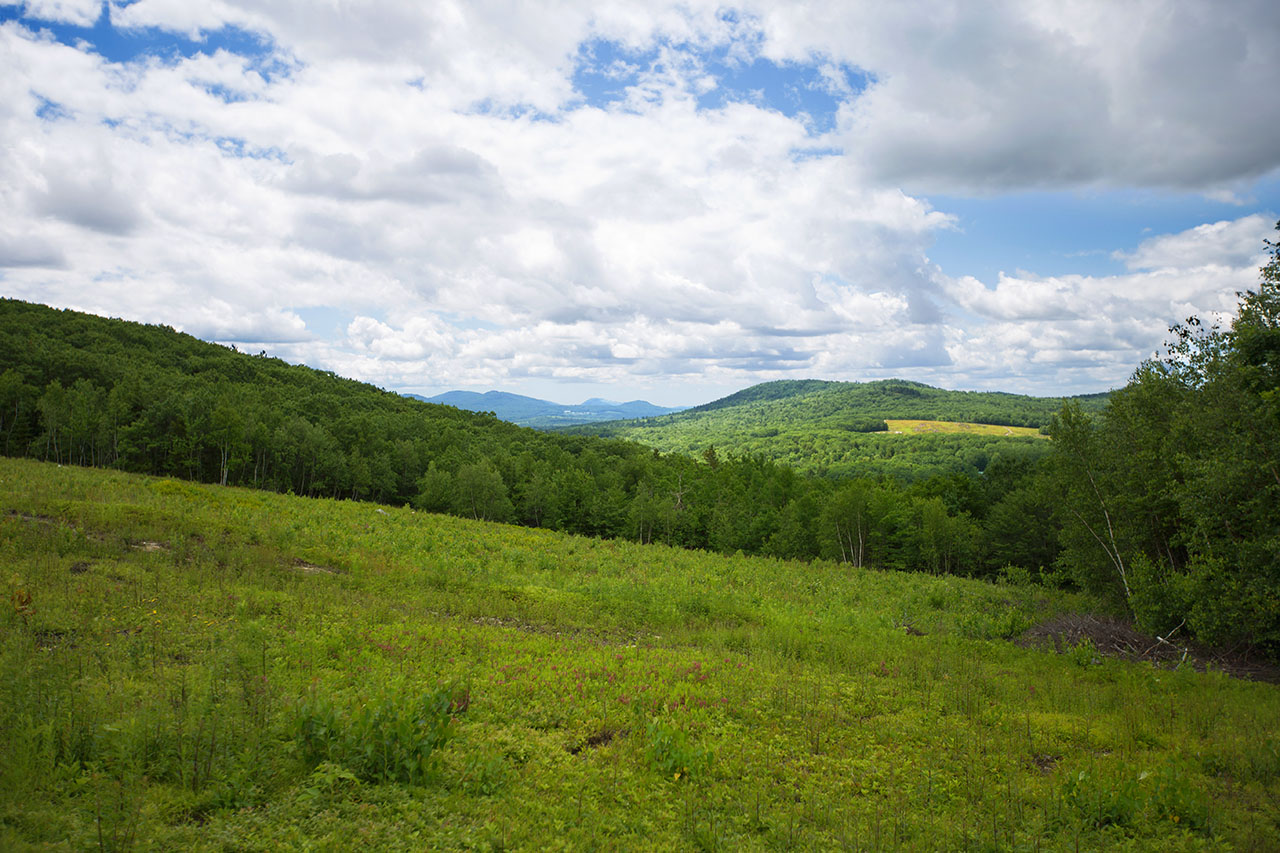 New Year - New Home: Top Land Offerings to Build your Dream Home ...